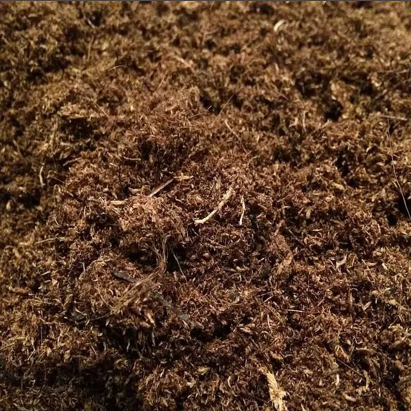 ВЕРХОВОЙТОРФ